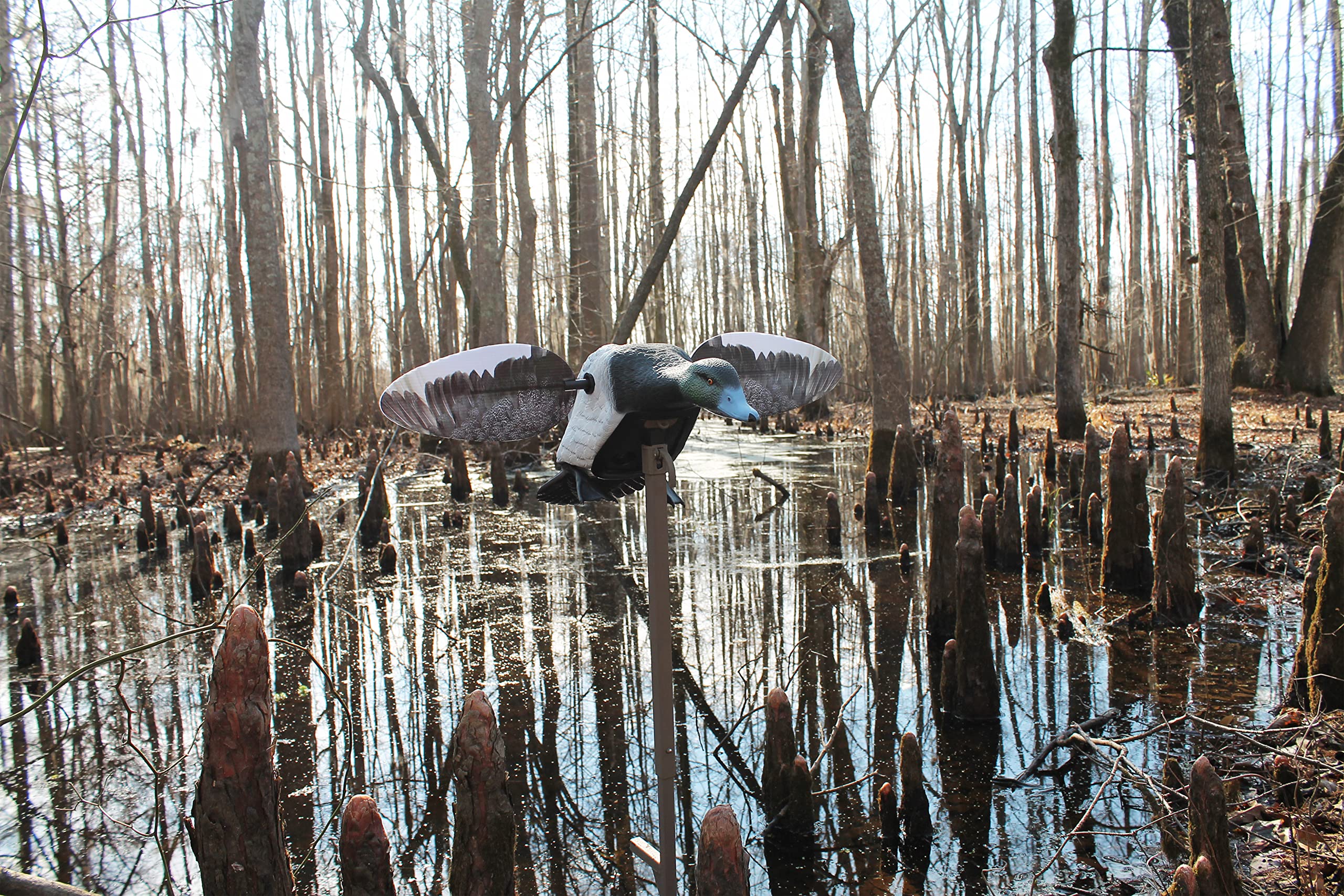 MOJO Elite Series Diver Spinning Wing Duck Decoy, Duck Hunting Gear and ...