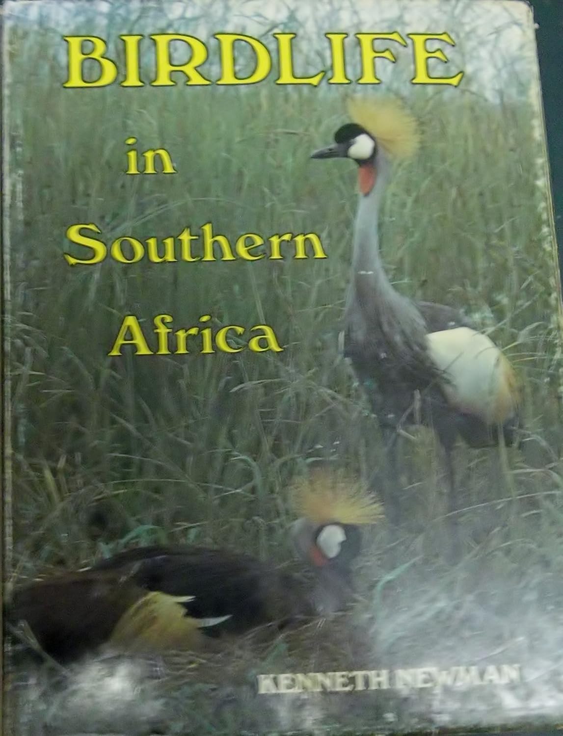 Birdlife in southern Africa: KENNETH NEWMAN: 9780869540831: Amazon.com ...