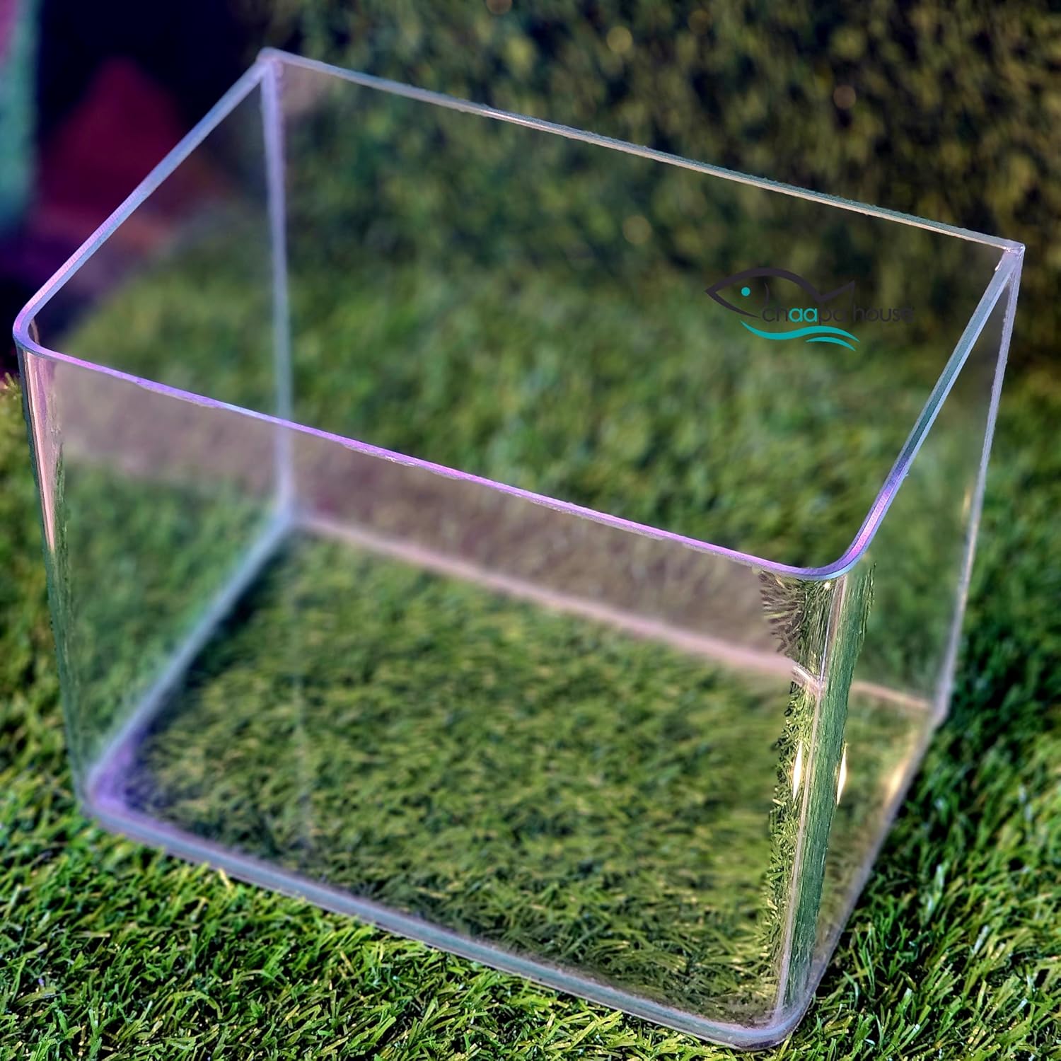 Extra Clear Betta Fish Tank 22X15X17CM : Amazon.in: Pet Supplies