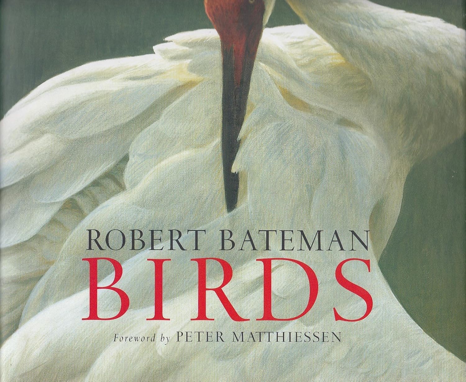 Batemans Birds: Bateman, Robert & Peter Matthiessen: 9780143013594 ...