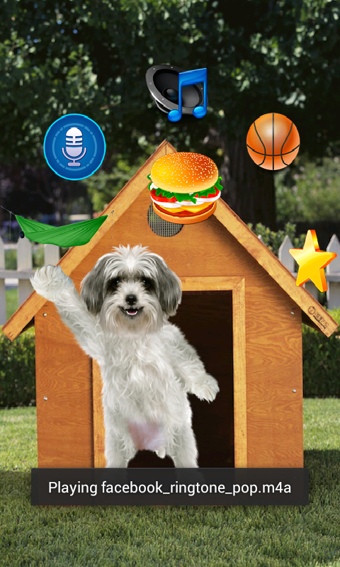 Real Talking Puppy - App on Amazon Appstore