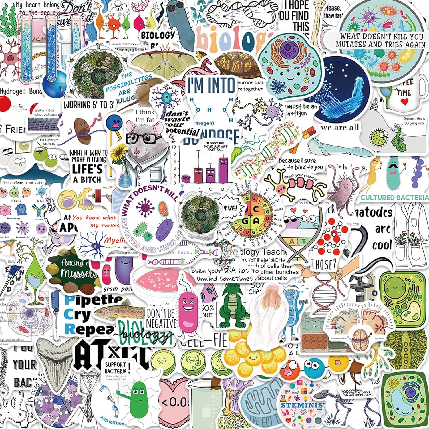 Amazon.com: SHOWSUP 100Pcs Funny Biology Stickers for Laptop & Water ...