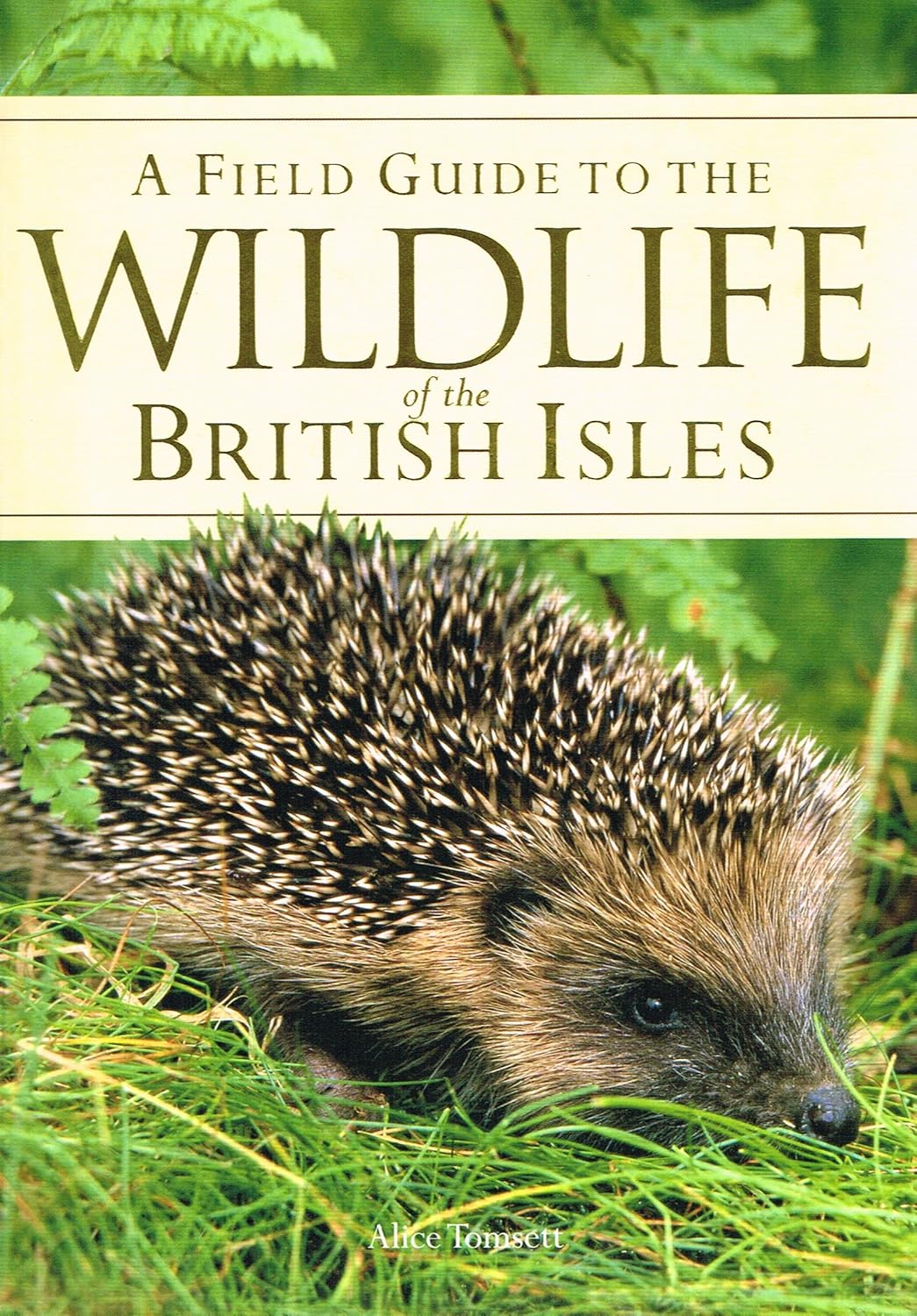A Field Guide To The Wildlife Of The British Isles : Alice Tomsett ...