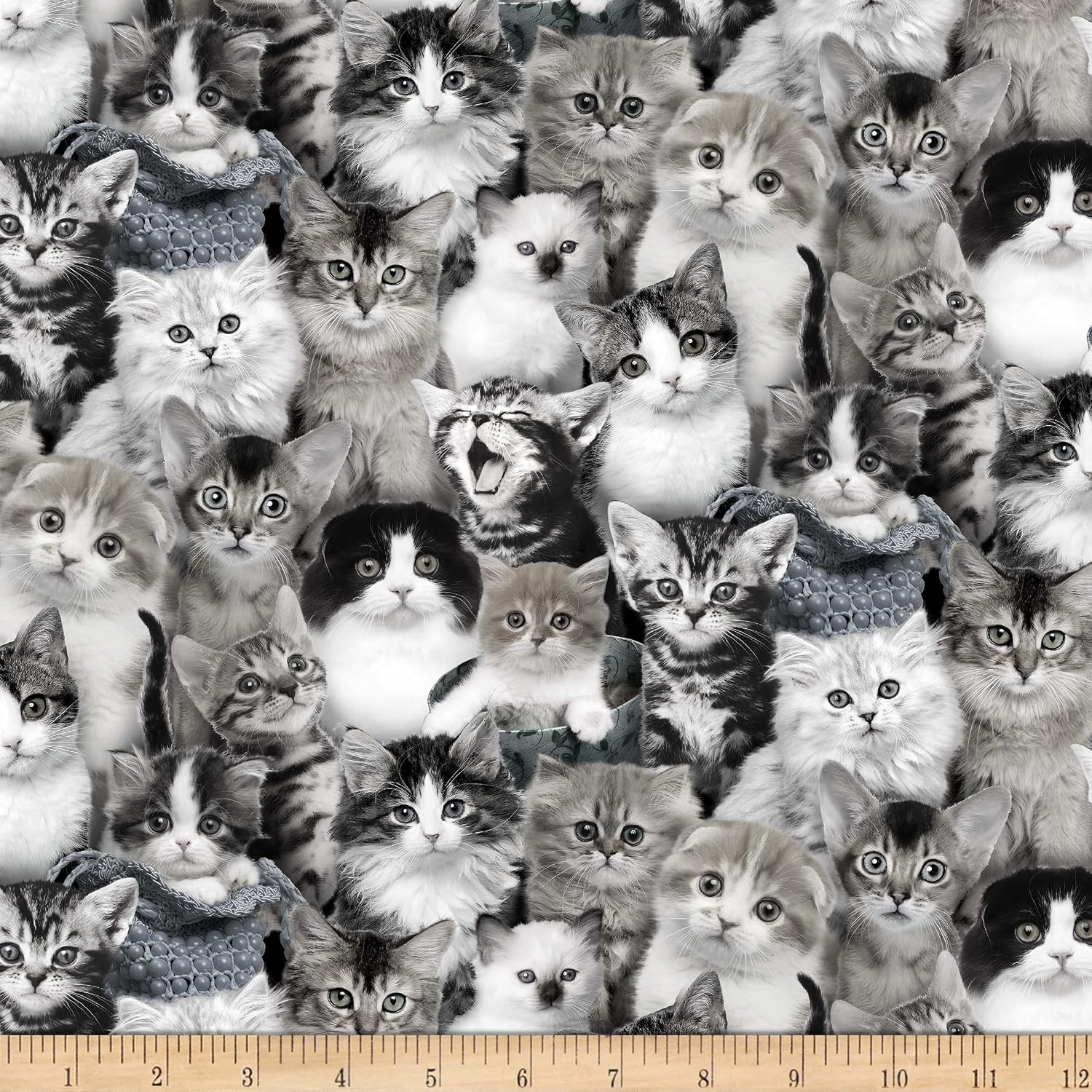 Amazon.com: Cat Breeds Packed Cats Gray, Fabric by the Yard : Arts ...