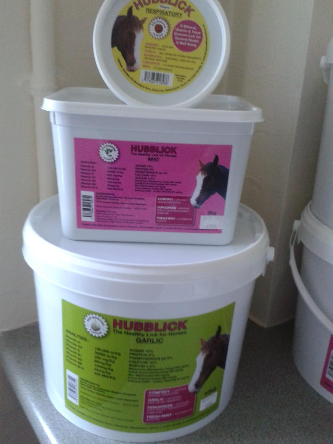 Hubblick horse lick supplement (Garlic, 700g) : Amazon.co.uk: Pet Supplies