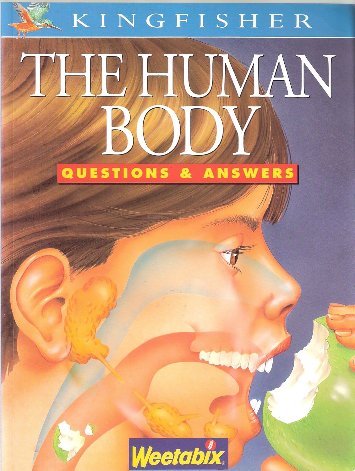 The Human Body (Questions & Answers About S.): Amazon.co.uk: Royston ...