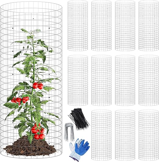 Amazon.com : winemana 12 Set Garden Plant Protector Cage,36 Pcs 24x12 ...