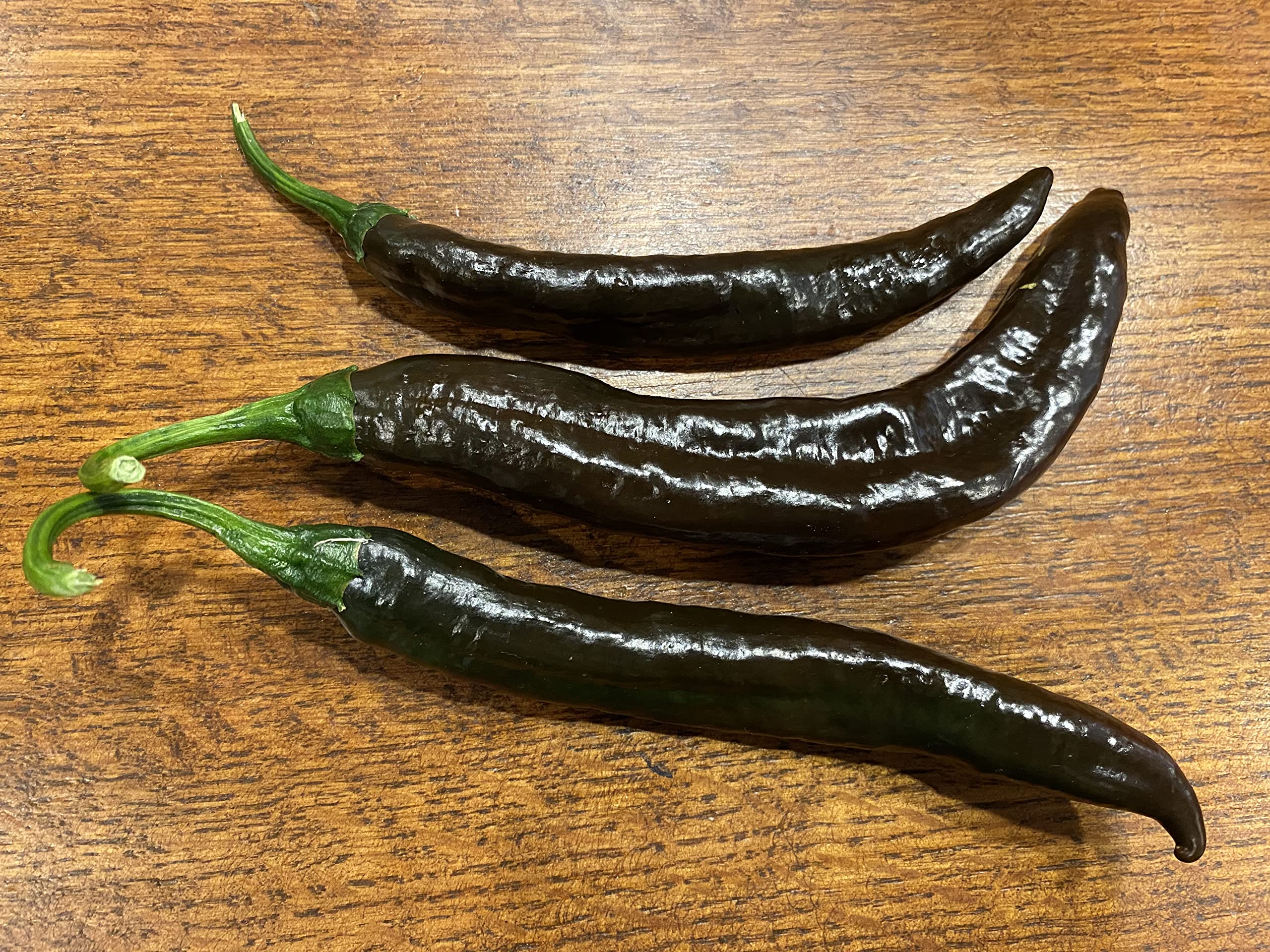 Holy Mole Pepper