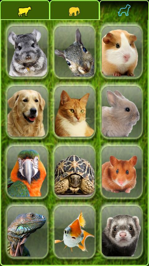 AniWorld cool fun animal kids game - App on Amazon Appstore