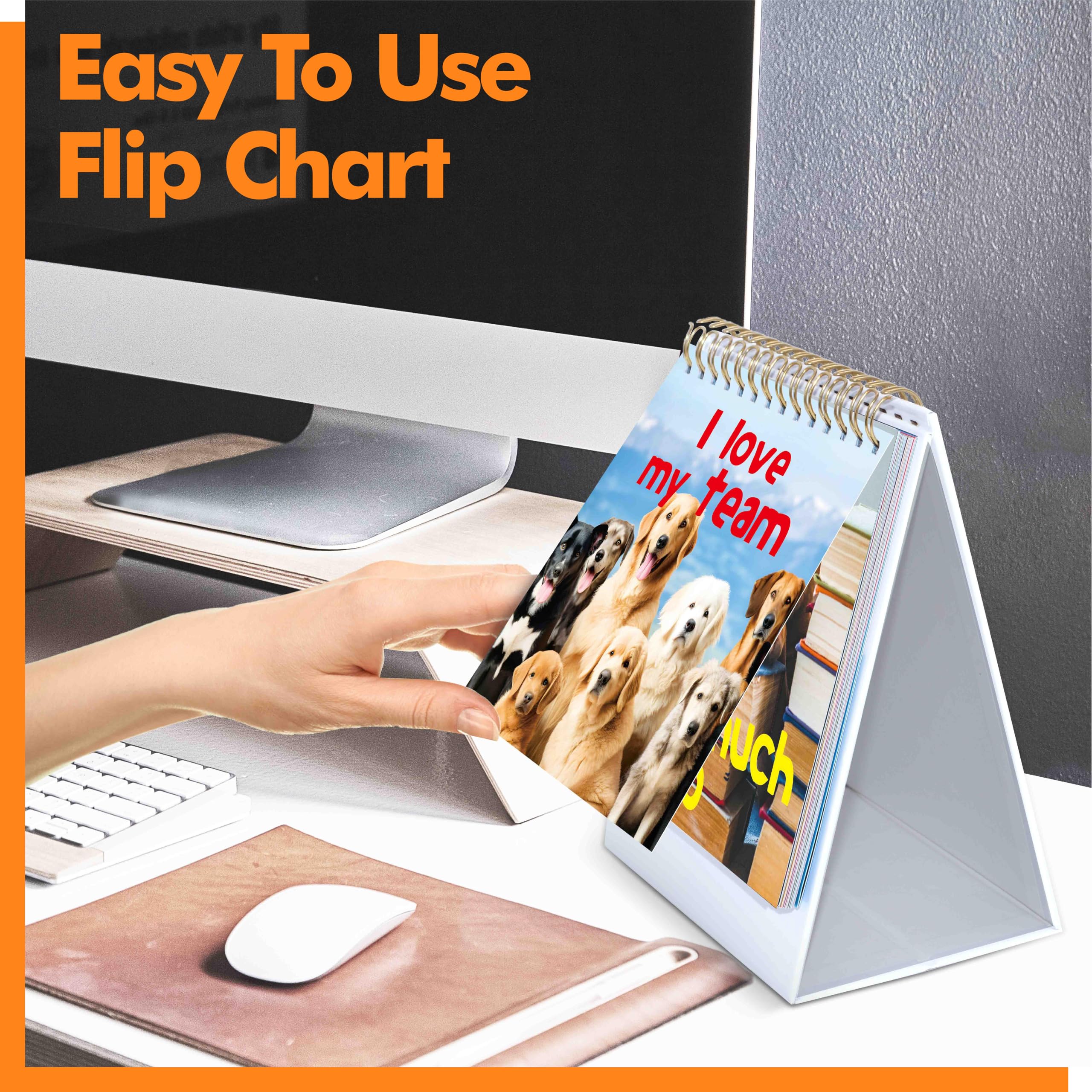 Snapklik.com : 40 Pages Funny Desk Sign, 34 Different Fun And Flip-Over ...