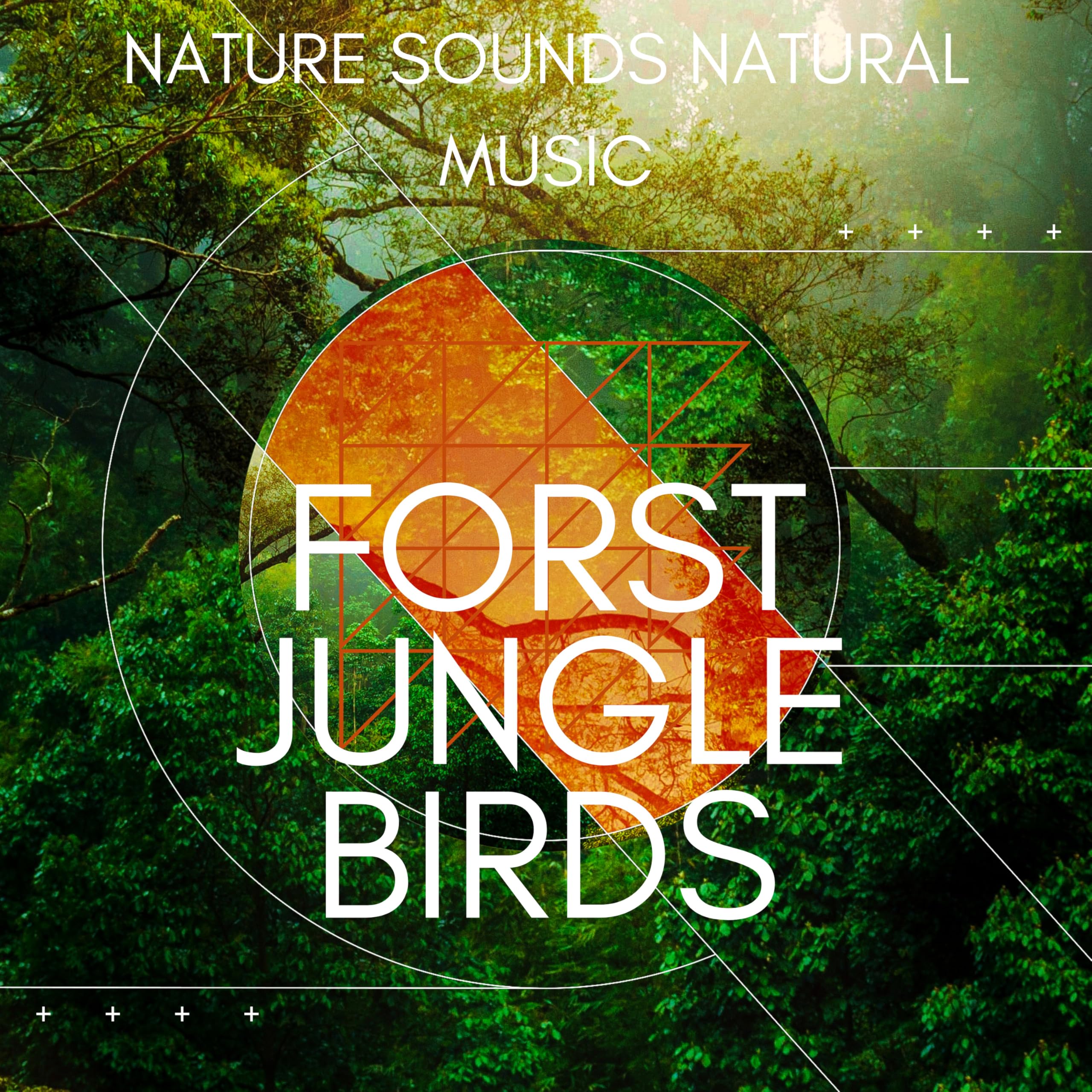 Monkeys Playing In The Jungle song by Nature Sounds Natural Music from ...