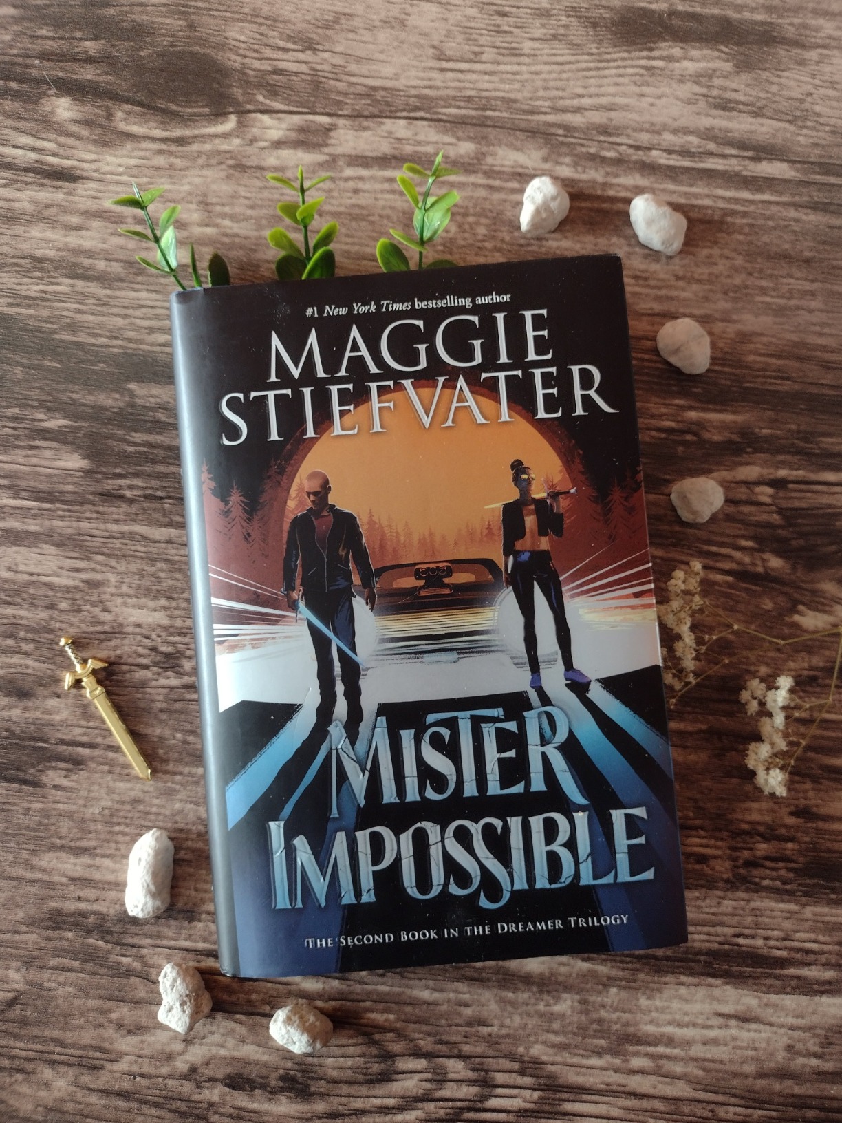Amazon.com: Mister Impossible (The Dreamer Trilogy #2) (2 ...