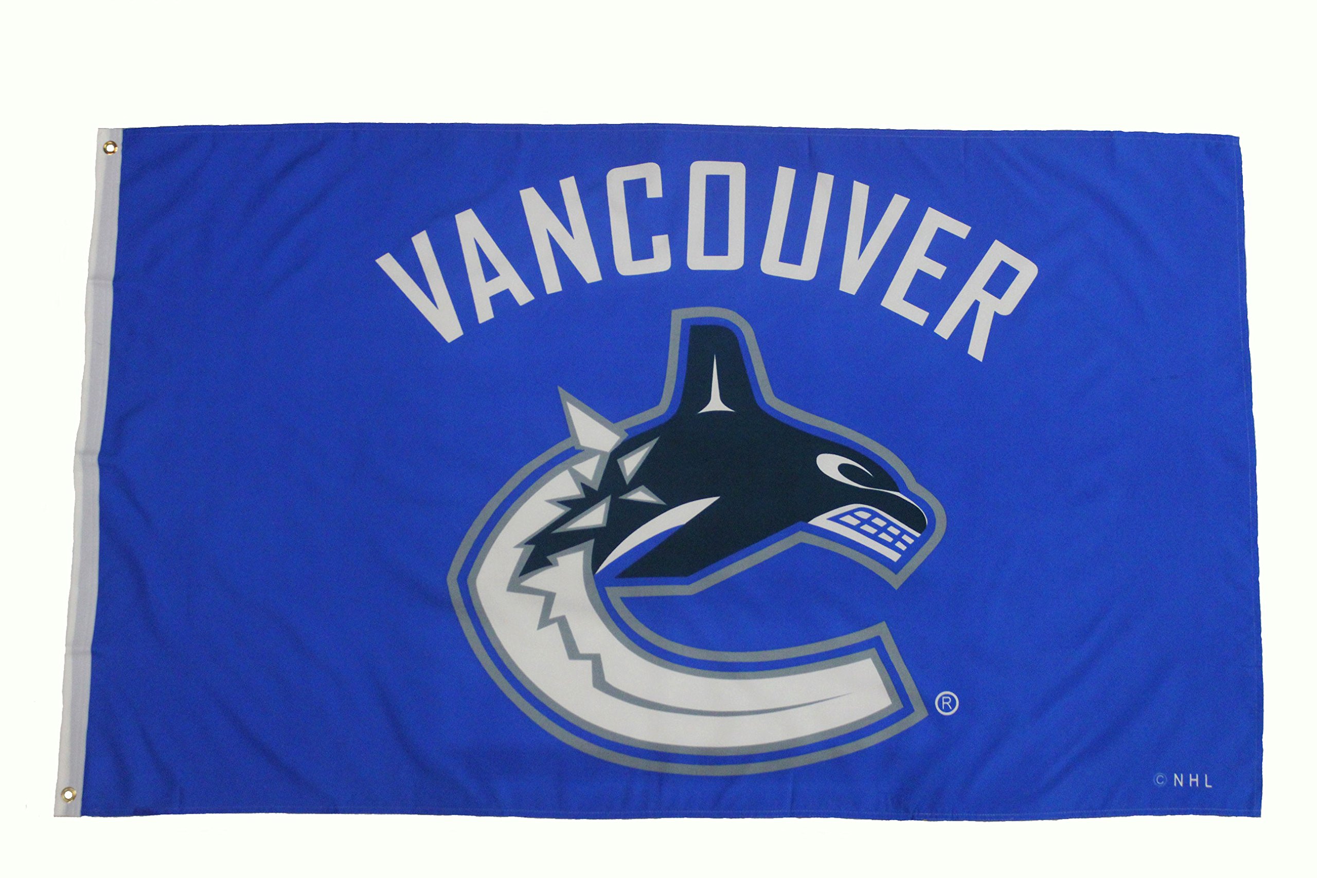 Canucks New Logo Vancouver Canucks Delay Abbotsford AHL Team