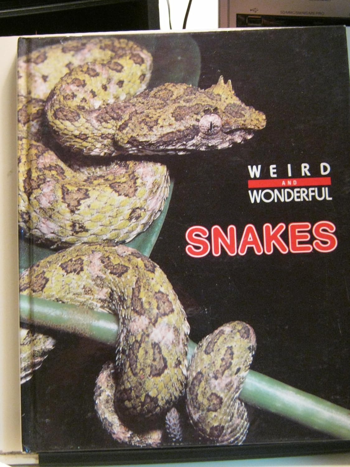 Snakes (Weird and Wonderful): Amazon.co.uk: Linley, Mike: 9781568470061 ...