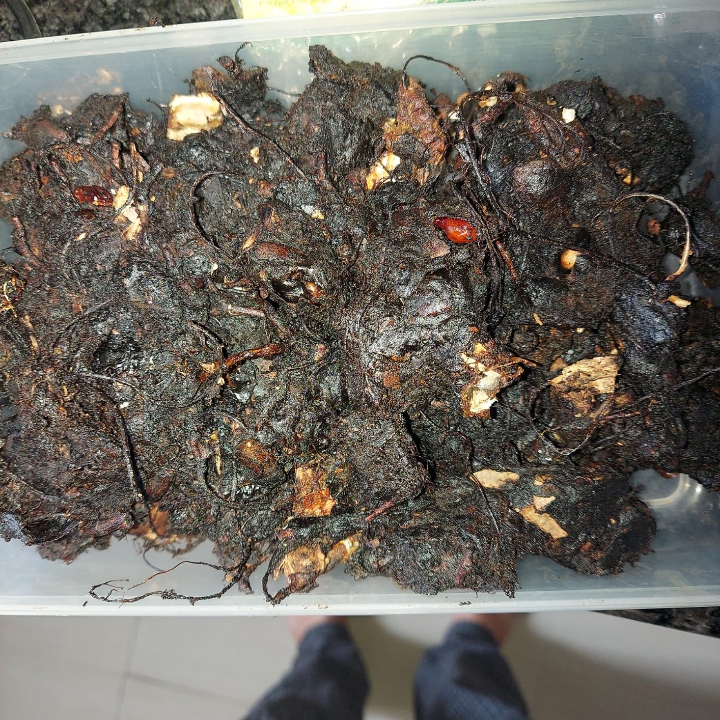 Tamicon Naturally Processed Tamarind Slab | Farm Fresh, Seedless Imli ...