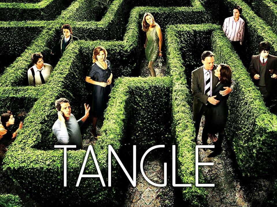Amazon.ca: Tangle