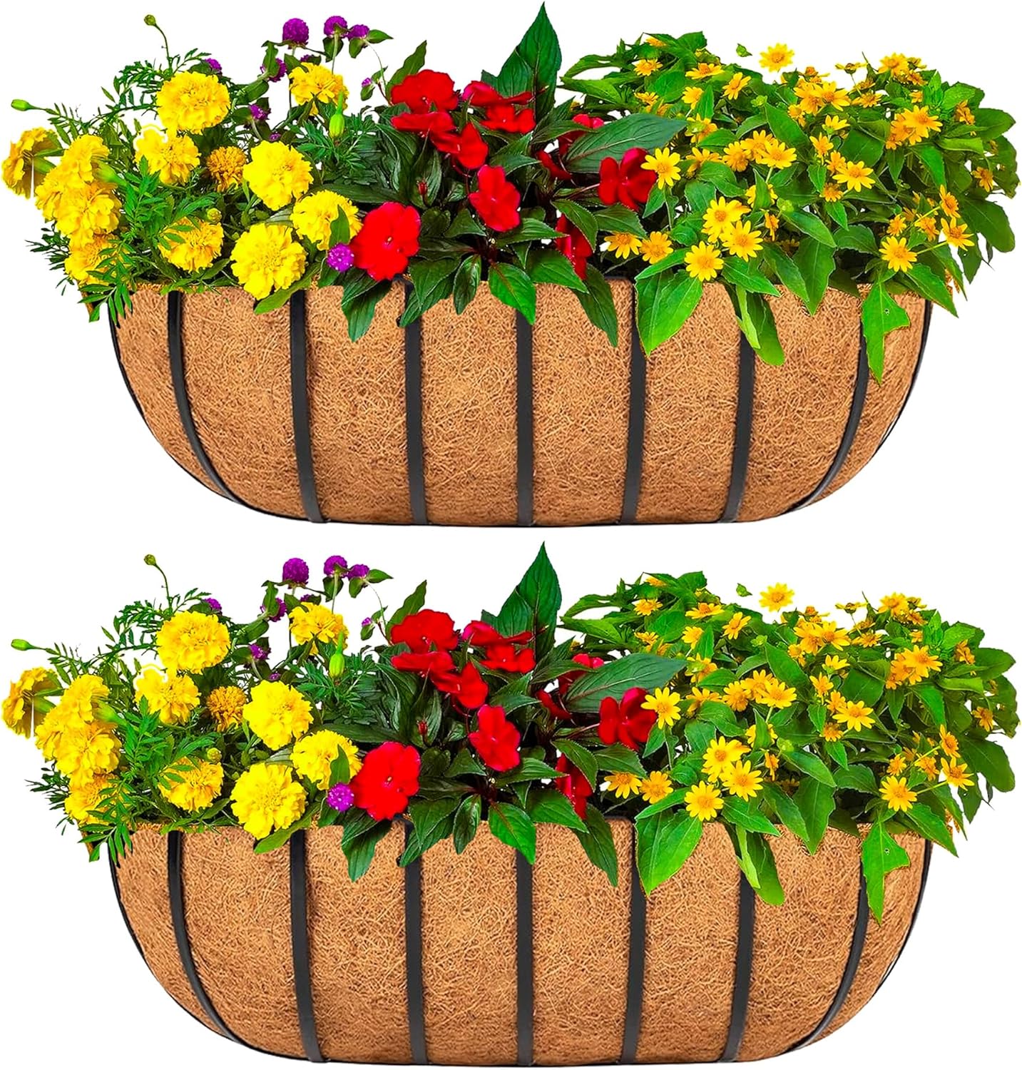 Amazon.com : GYATSOCYG 24 Inch Window Baskets with Coconut Liner ...