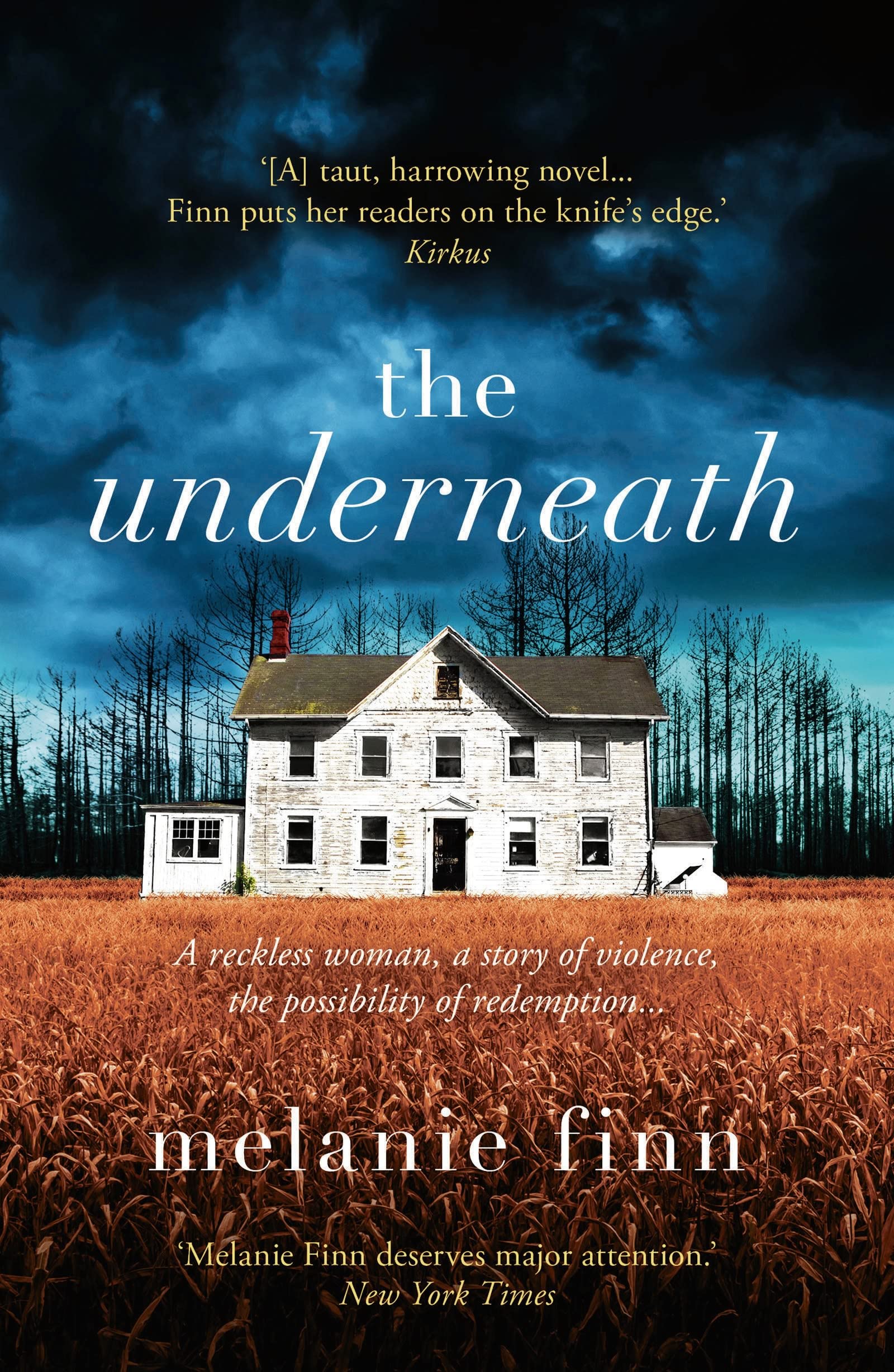 The Underneath: Amazon.co.uk: Finn, Melanie: 9781788541268: Books