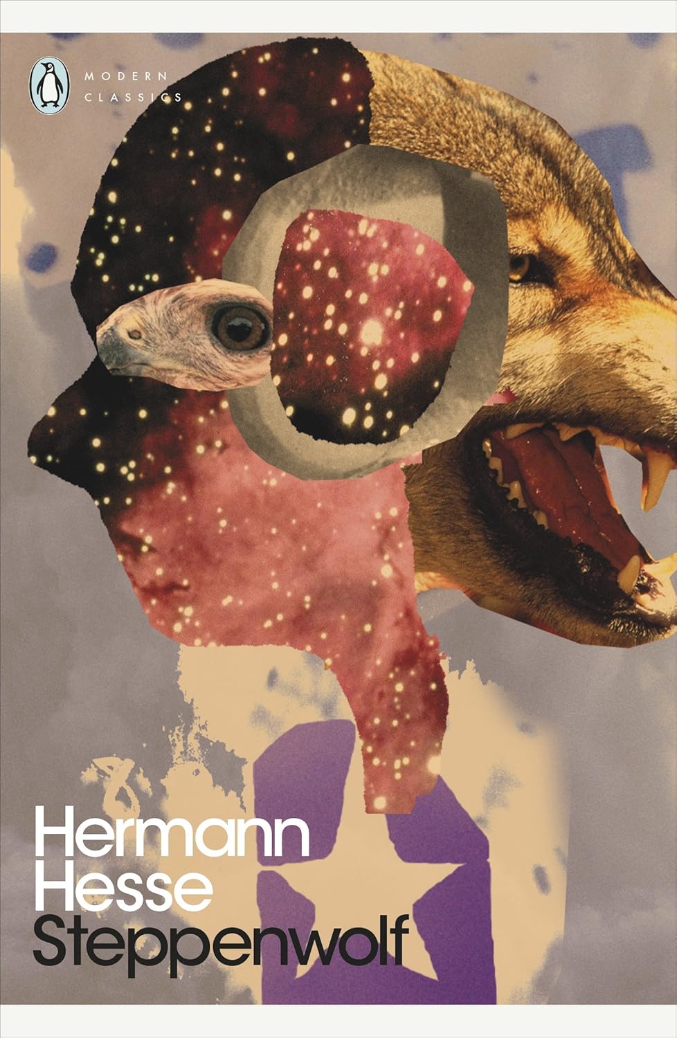 Steppenwolf: Herman Hesse (Penguin Modern Classics): Amazon.co.uk ...