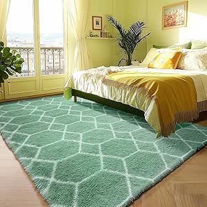 Amazon.com: ONASAR Area Rugs for Bedroom Living Room, Washable 4x6 ...