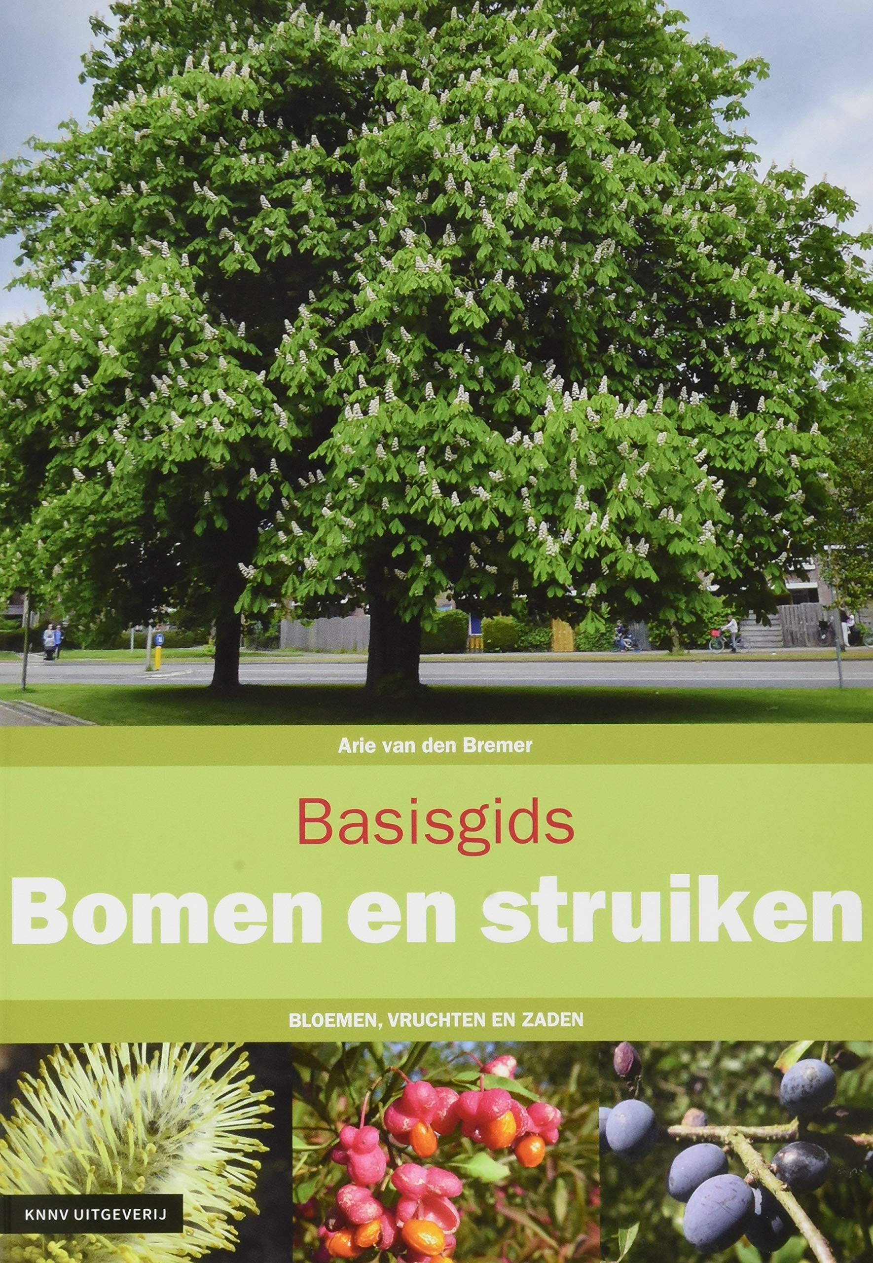 Soorten Bomen Tuin Bomen | Neutkens Planten En Bomencentrum