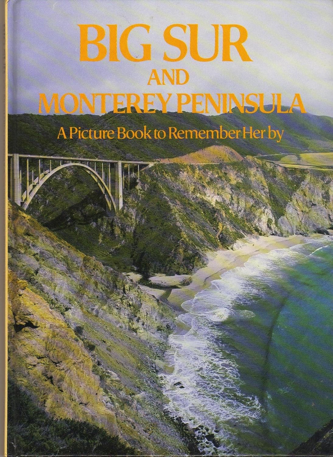 Amazon | Picture Book to Remember Her By: Big Sur & Monterey | Rh Value ...