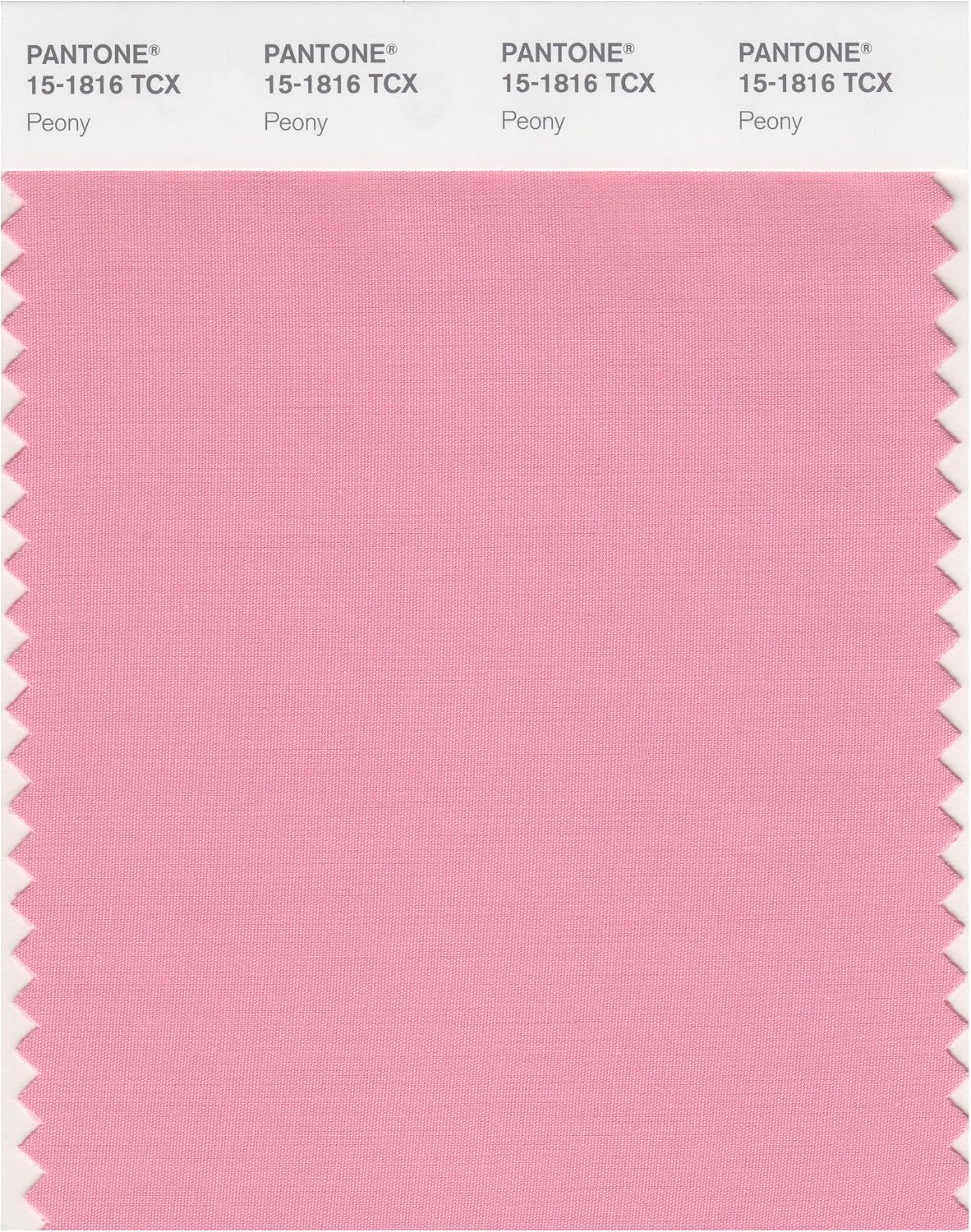 Pantone Smart Swatch 15-1816 Peony : Amazon.co.uk: DIY & Tools