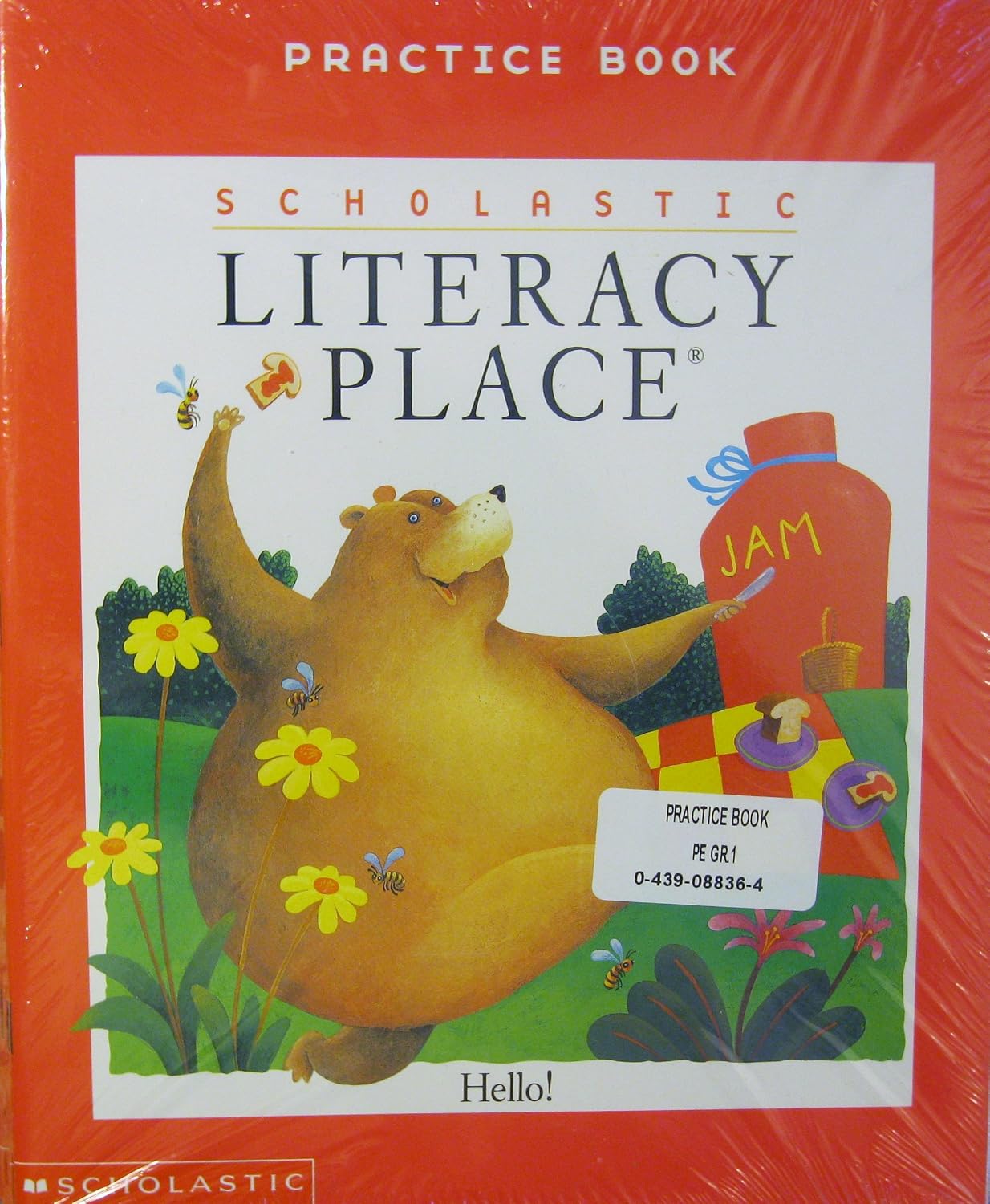 Practice Book Scholastic Literacy Place Hometowns (Pack of 6 Books ...