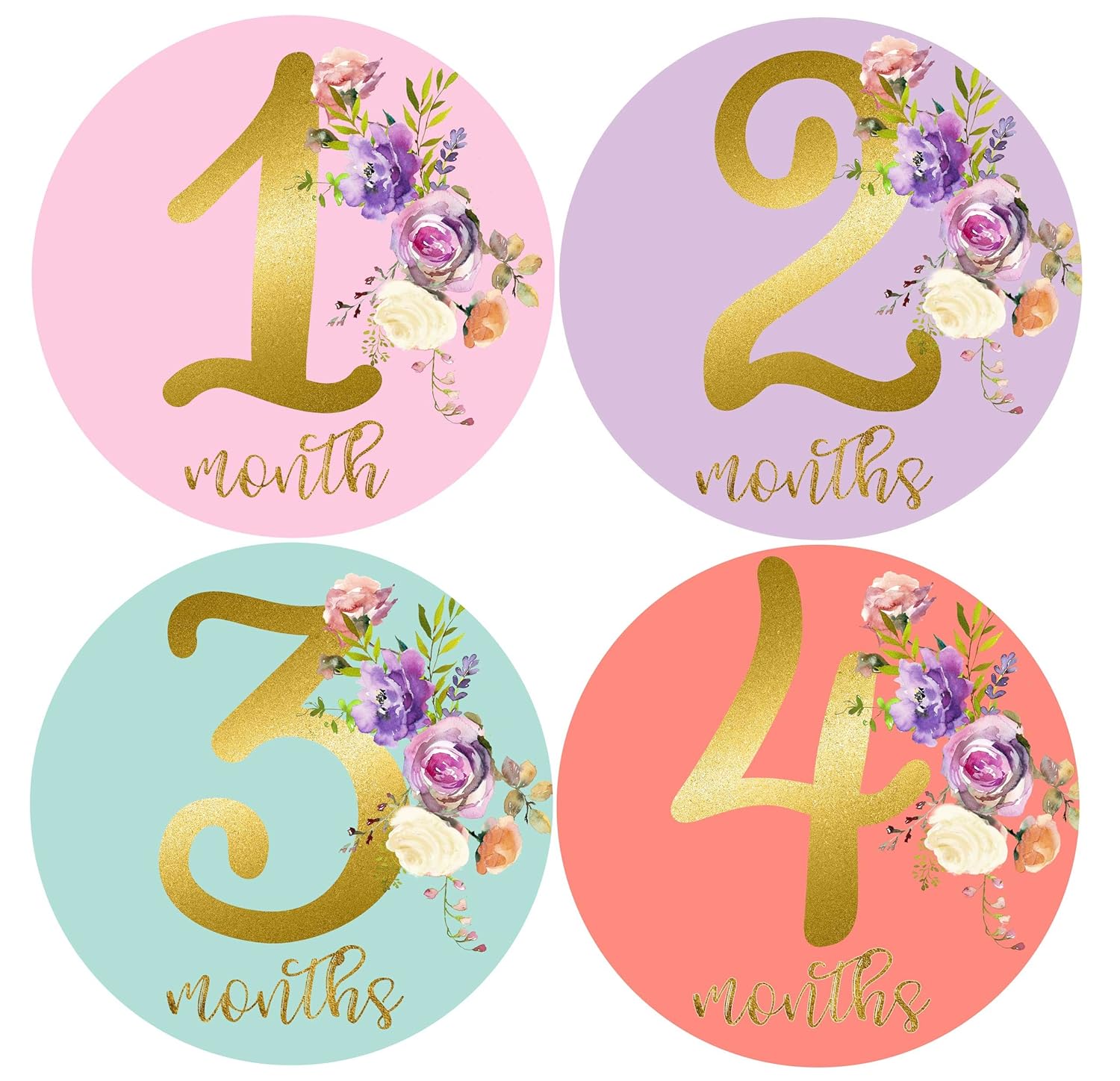 Amazon.com: Mumsy Goose Month Stickers Baby Girl Milestone Stickers 1 ...
