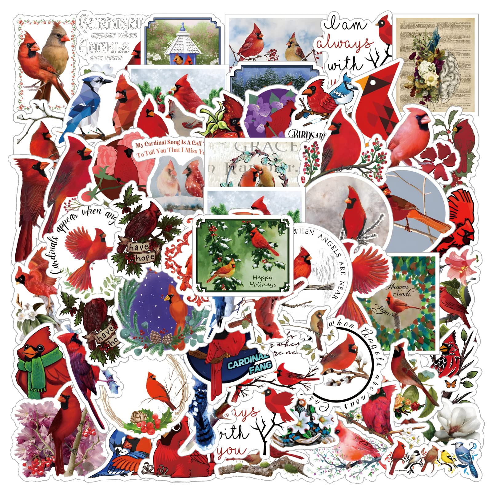 Amazon.com: 61 PCS Cardinal Vinyl Animal Bird Aesthetic Waterproof ...