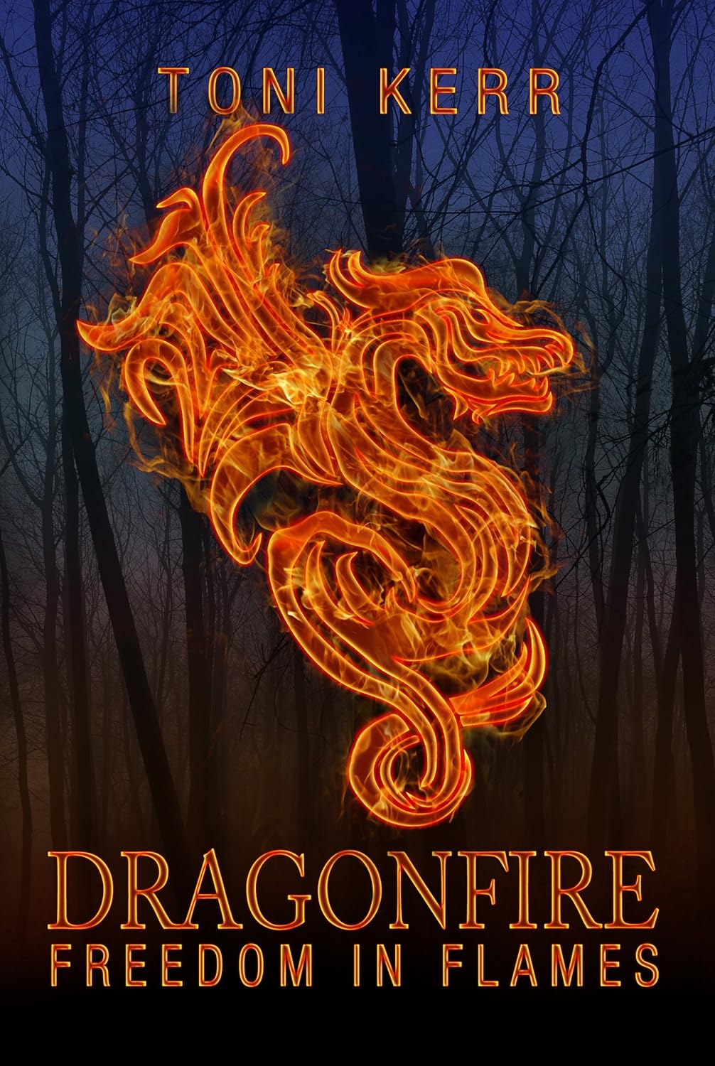 Amazon.com: Dragonfire: Freedom in Flames (Secrets of the Makai Book 3 ...