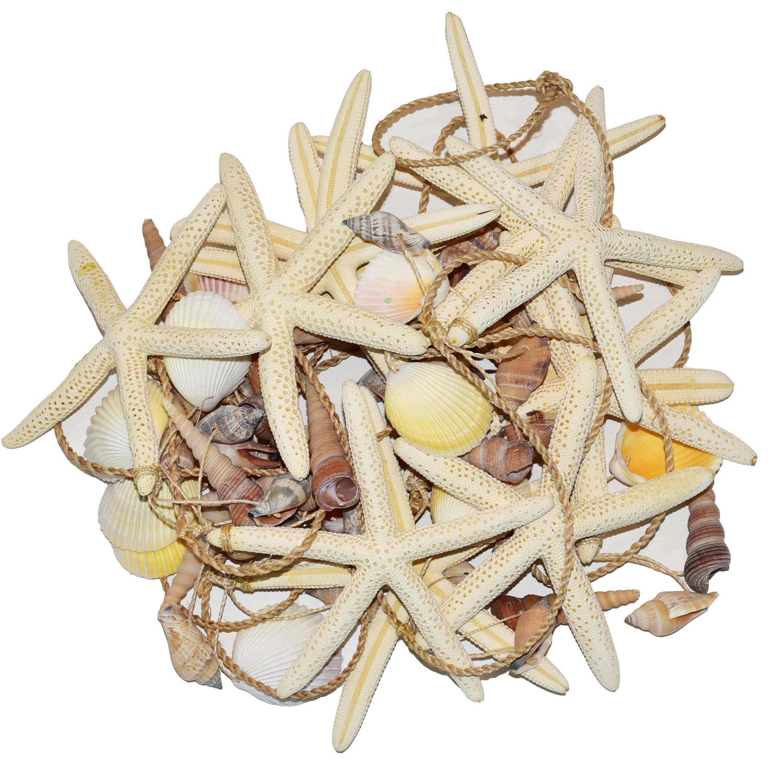 Amazon.com: Nautical Beach Decor Coastal Garland/Starfish Garland ...