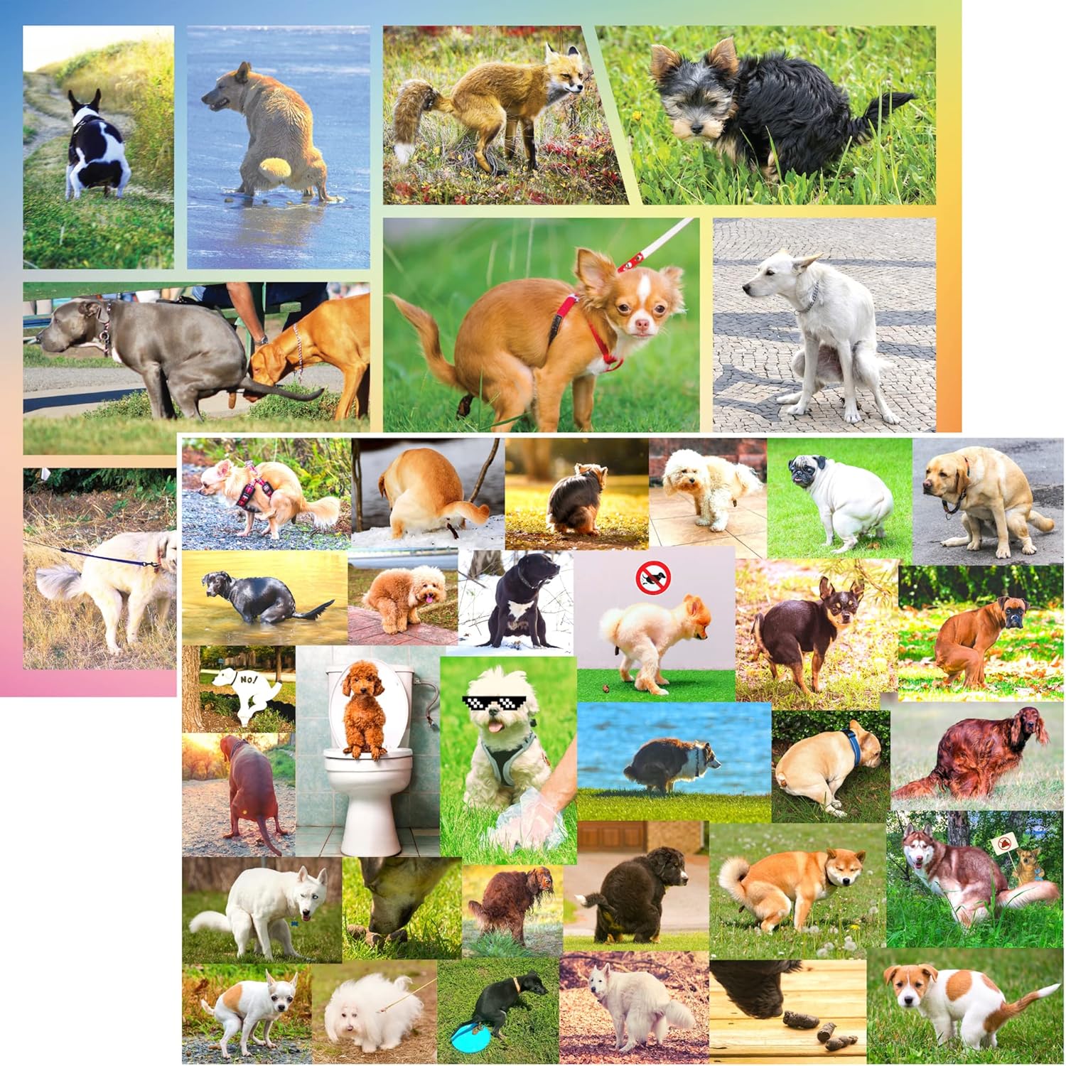 Amazon.com: Pooping Dogs Puzzle Bundle - 2X 1000 Piece Puzzles Dog ...