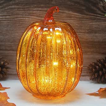 Amazon.com: Mercury Glass Pumpkin Light with Timer, with 10 Fairy Lights Inside,Battery Operated ...