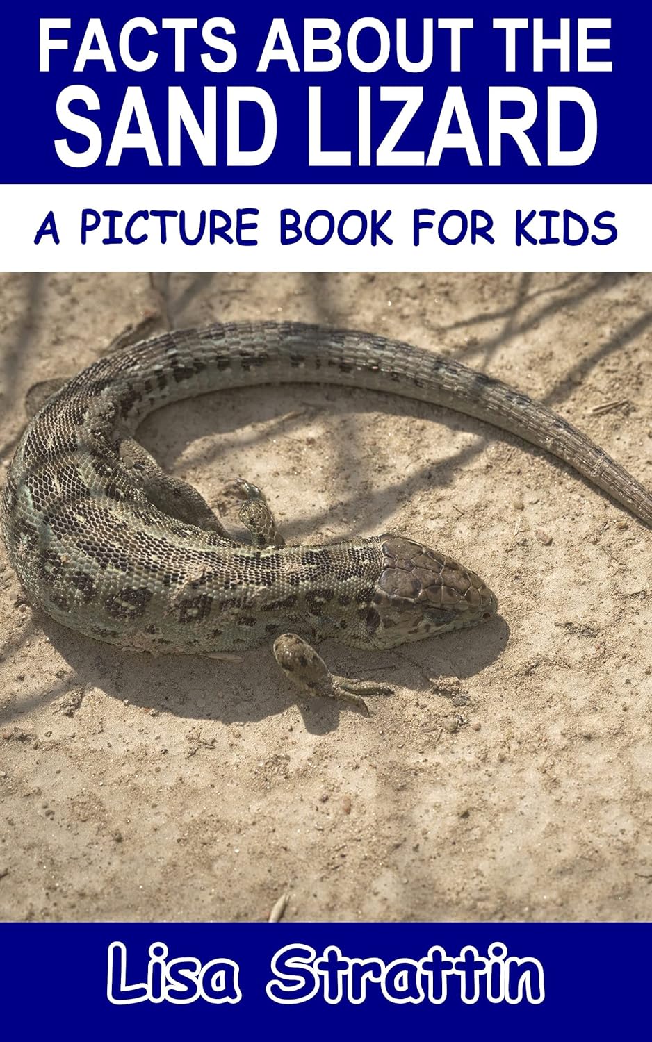 Facts About the Sand Lizard (A Picture Book For Kids 227) - Kindle ...