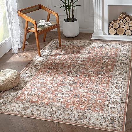 Amazon.com: JINCHAN Area Rug 4x6 Persian Rug Vintage Rug Kitchen Floor ...