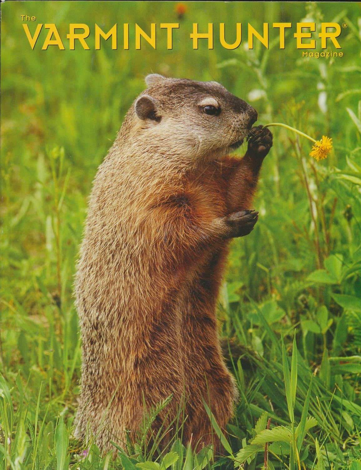 Varmint Hunter : Custom Rifles; Handgun Hunting; Youth Prairie Dog Hunt ...