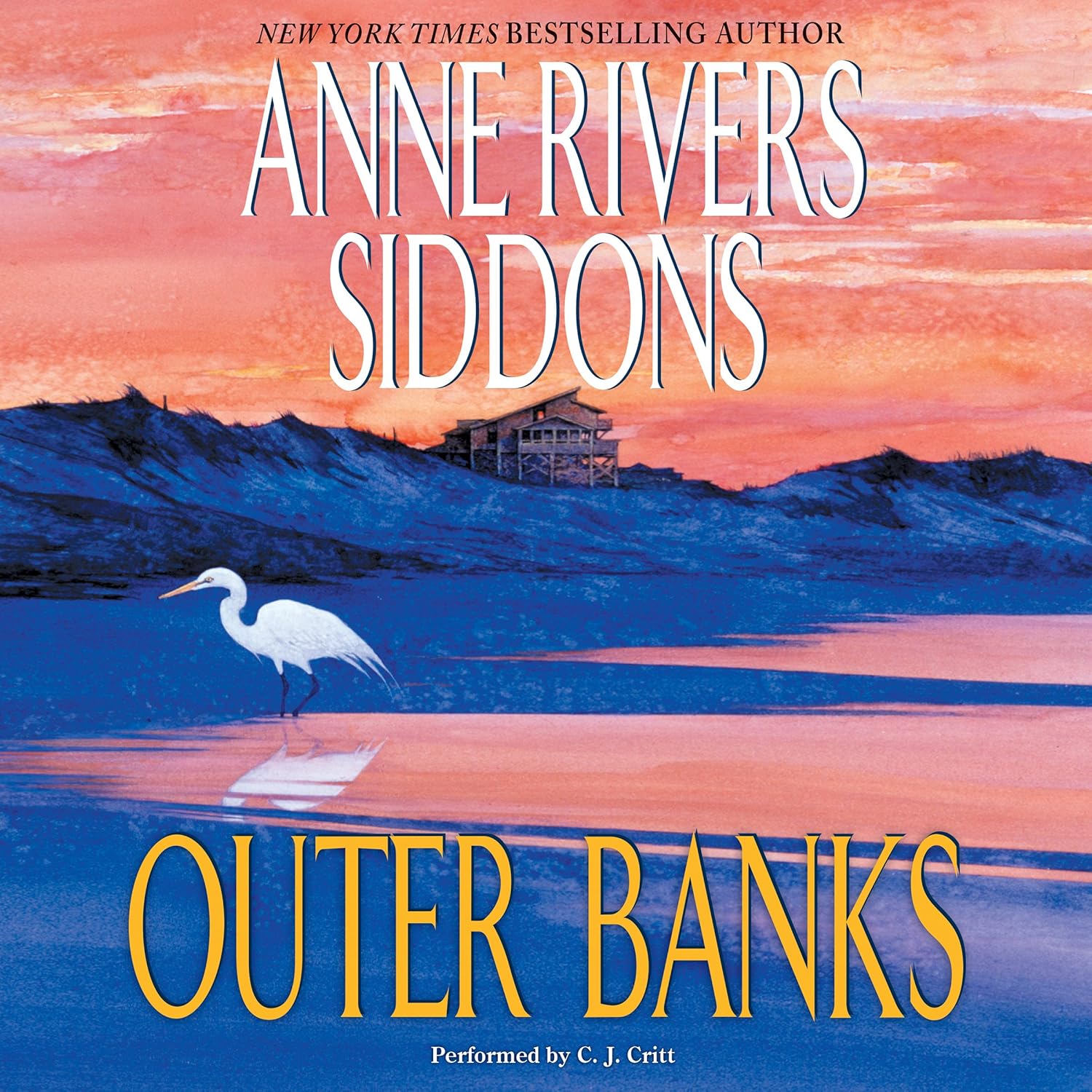 Amazon.com: Outer Banks (Audible Audio Edition): Anne Rivers Siddons, C ...