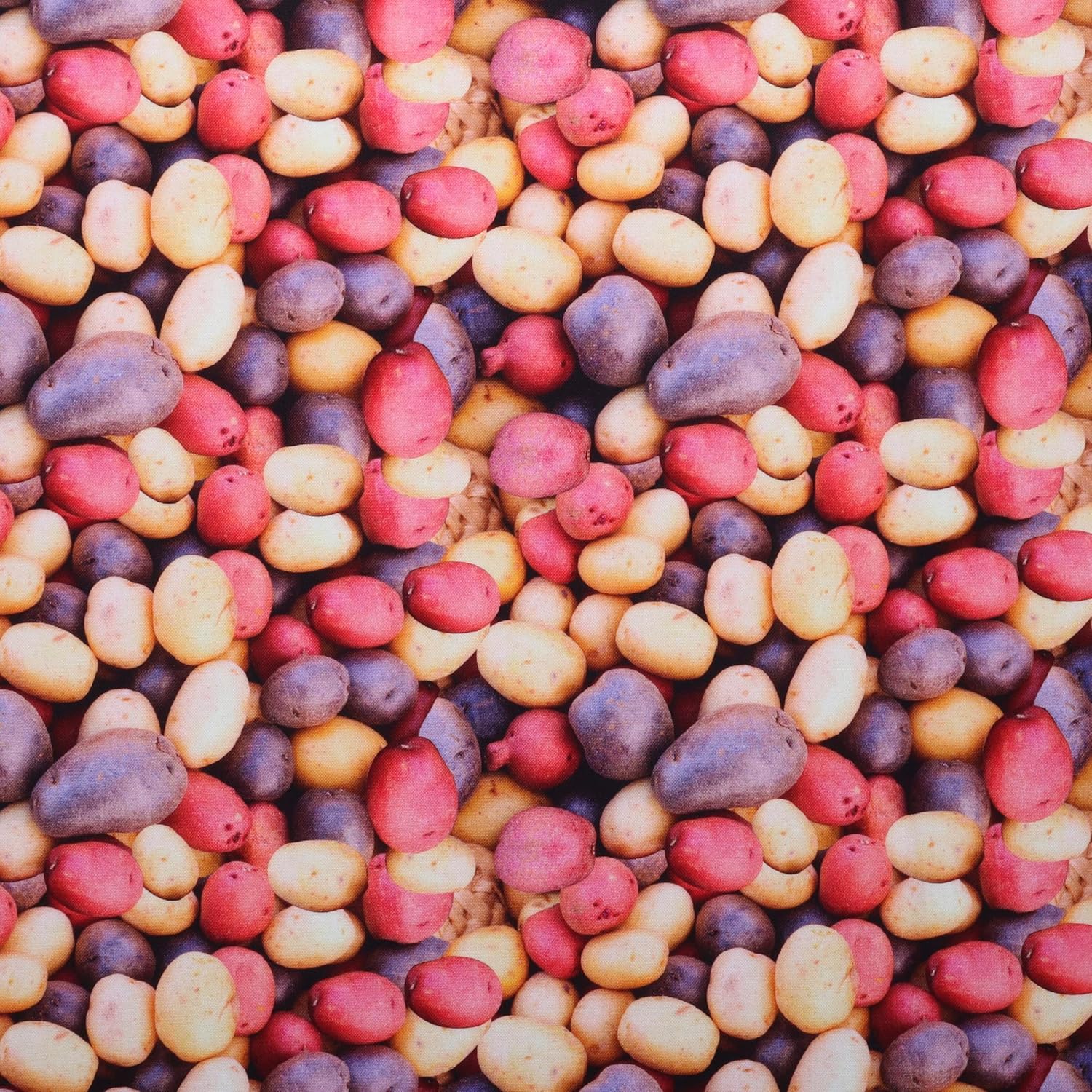 Amazon.com: Mook Fabrics Cotton Fruits-Vegetables, Multi Cut by The Yard