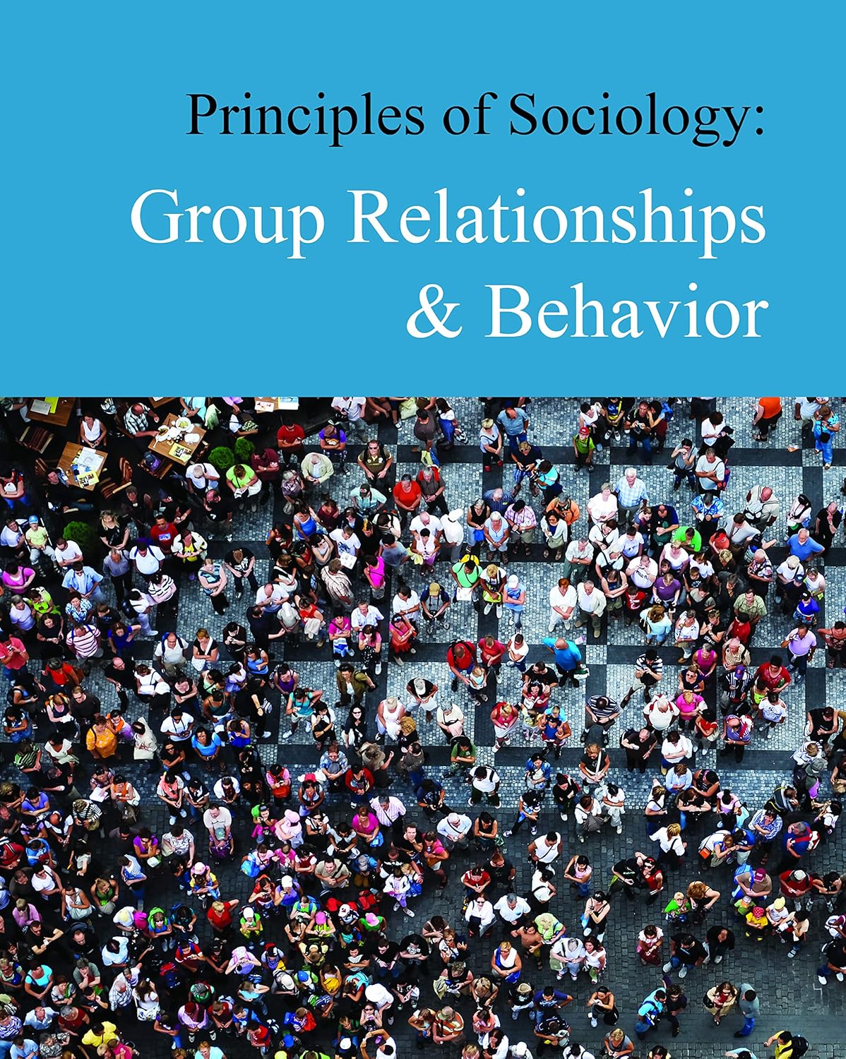 Principles of Sociology: Group Relationships & Behavior: 9781642651119 ...