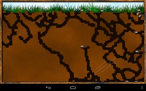Angry Ants Pro (Ant Farm) - App on Amazon Appstore