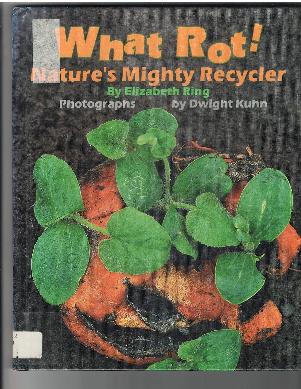 What Rot!: Nature's Mighty Recycler: Ring, Elizabeth, Kuhn, Dwight ...