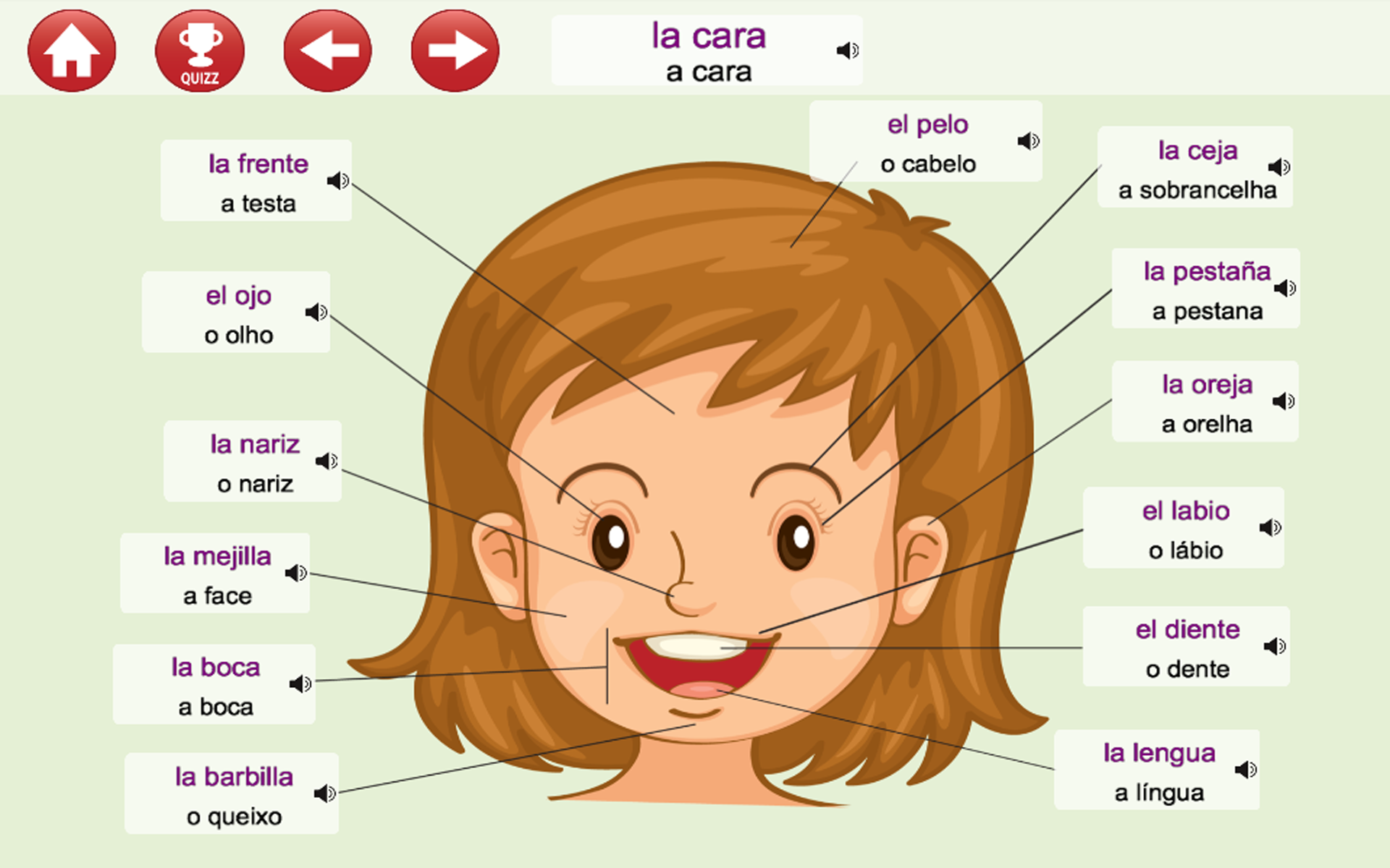 Parts Of The Face In Spanish