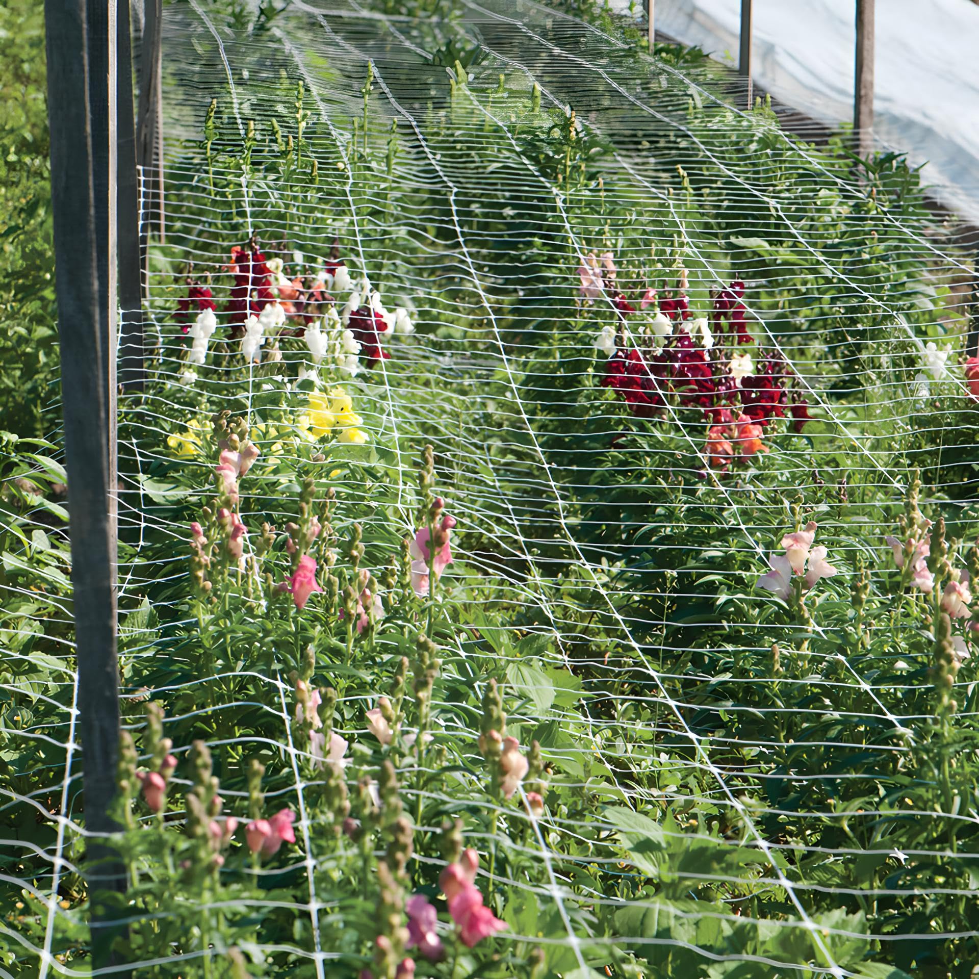 Snapklik.com : Aaamazing Trellis Netting Roll 4ft X 4920ft Heavy Duty ...