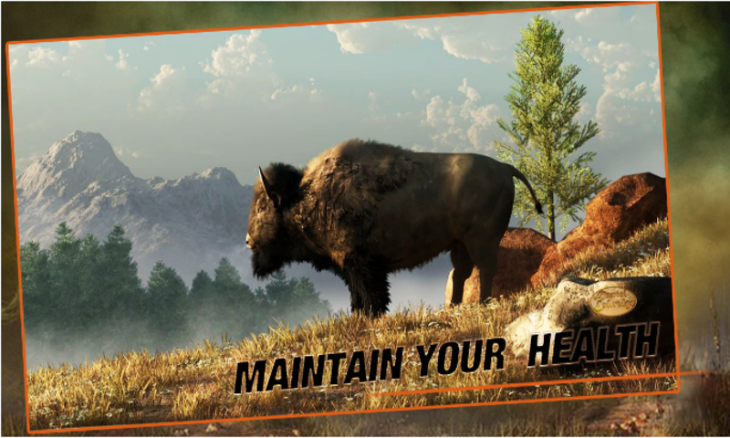 Wild Bull Simulator 3D - Angry Bull Attack Game:Amazon.in:Appstore for ...