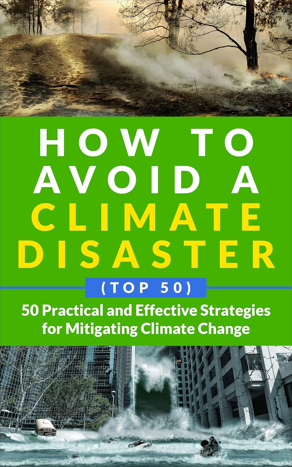 How to Avoid a Climate Disaster (Top 50): 50 Practical and Effective ...