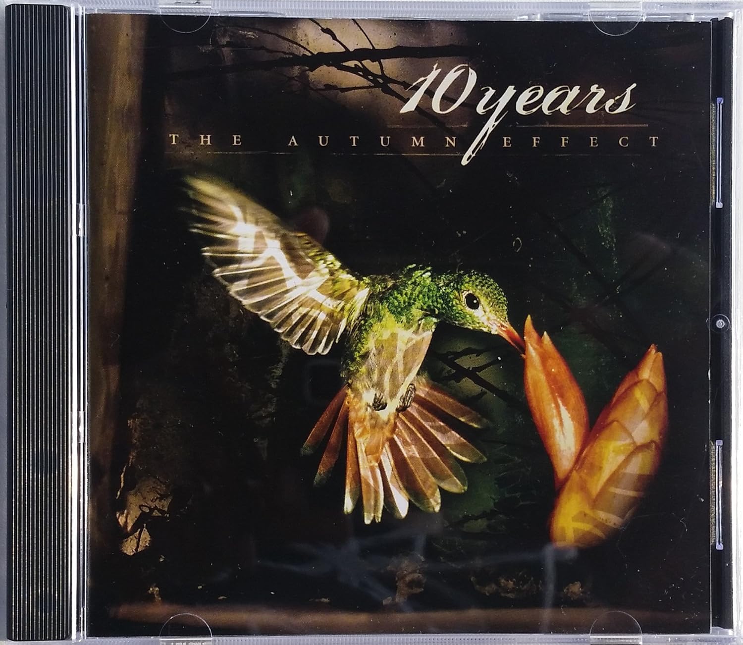 Amazon.com: 10 Years: The Autumn Effect: CDs & Vinyl