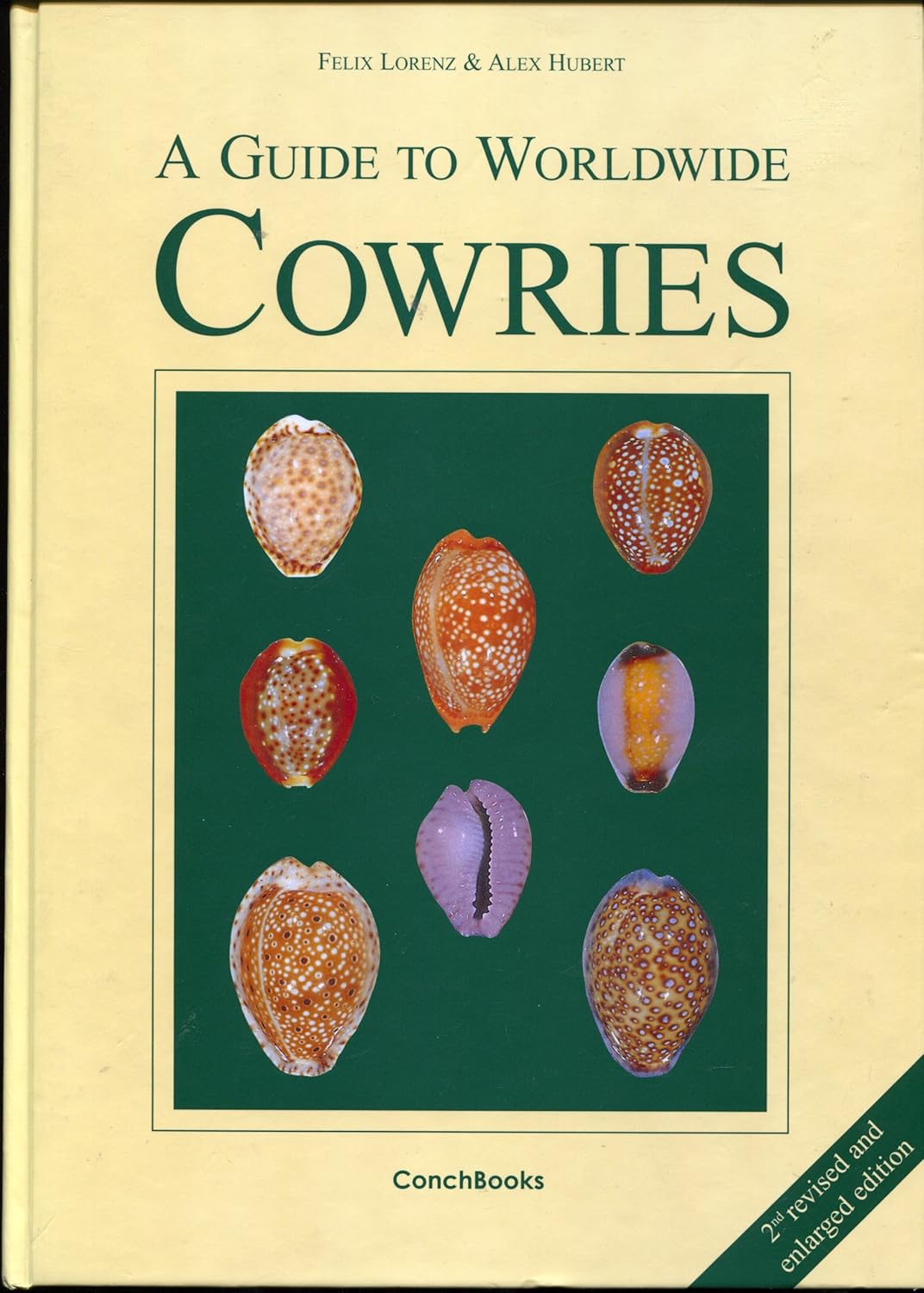 A Guide to Worldwide Cowries: Felix Lorenz, Alex Hubert: 9783925919251 ...