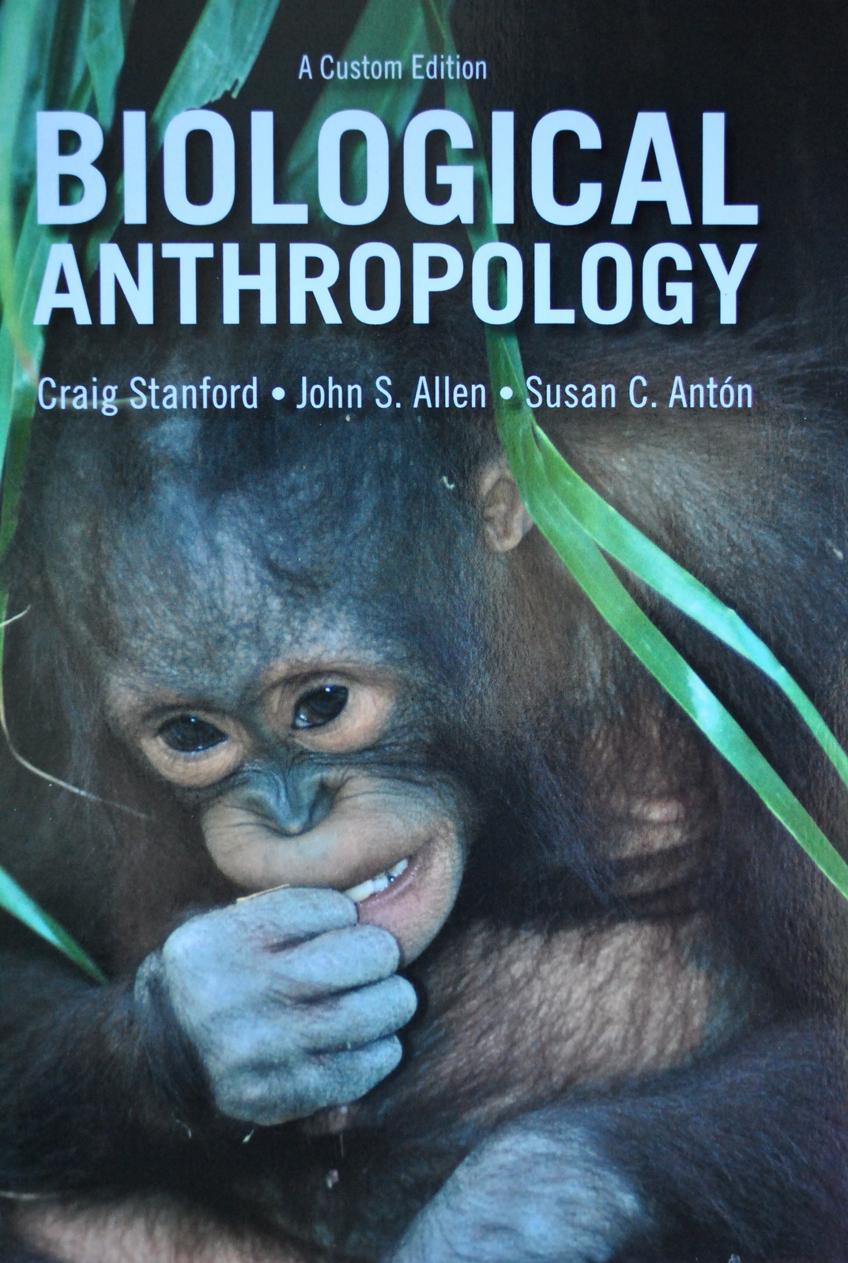 Amazon.com: Biological Anthropology (3rd Edition): 9780205150687 ...