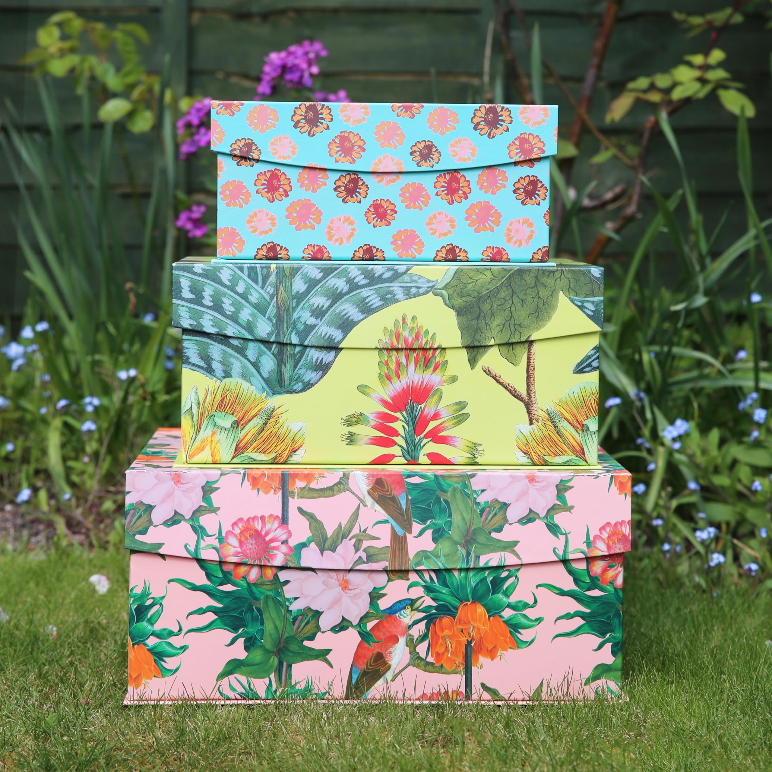 Colored Cardboard Storage Boxes 6 Piece Set Of Coloured Storage Boxes